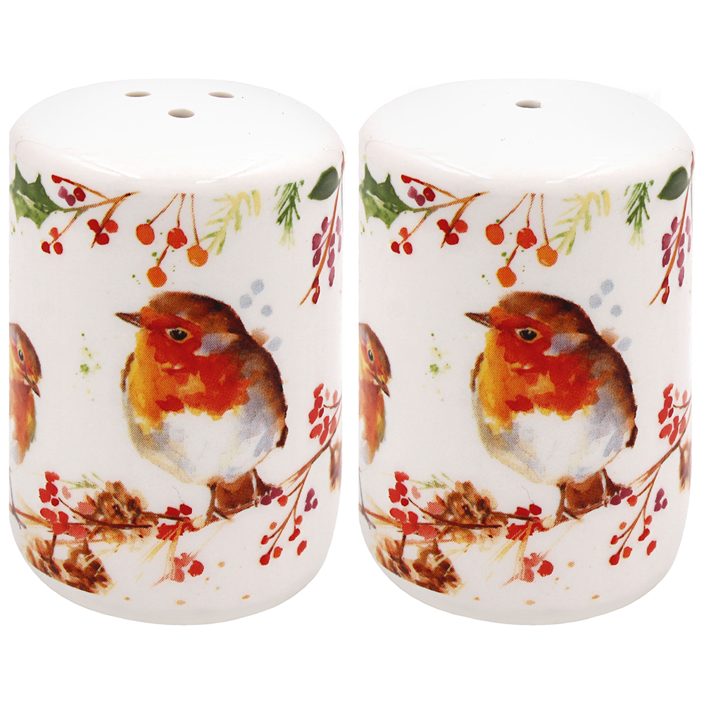 Winter Robin Salt and Pepper Set - Gift Boxed - threelittlebears.co.uk