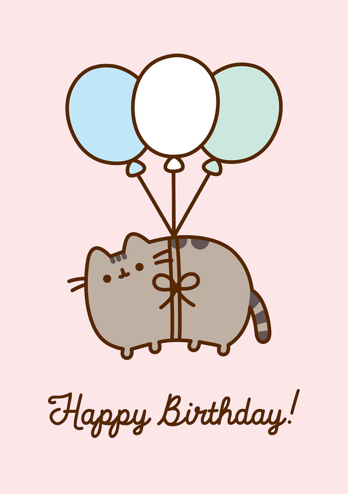 Pusheen Happy Birthday Balloons Greeting Card - threelittlebears.co.uk