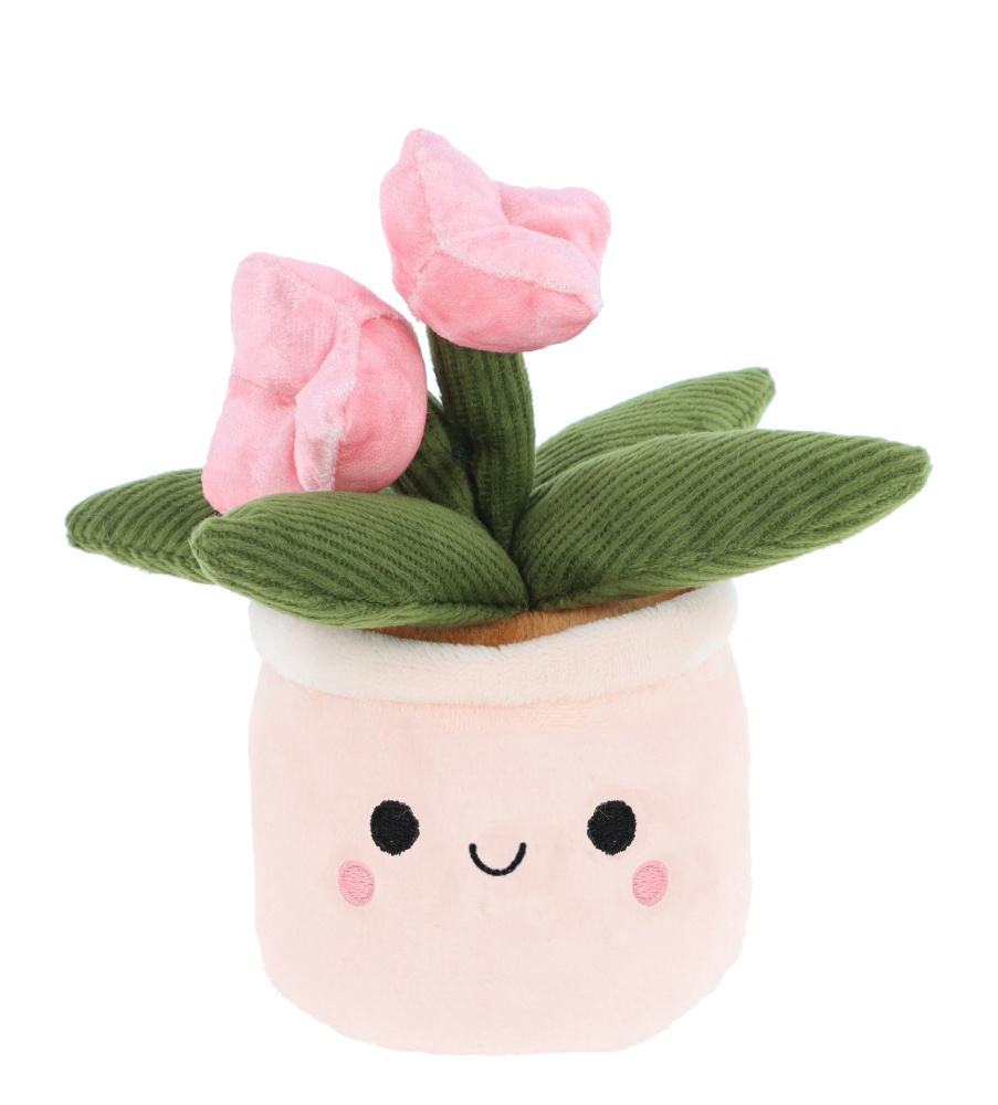 Keel Toys 12cm Succulent Plant Bobballs Beanie Plush Toy Random Design ...