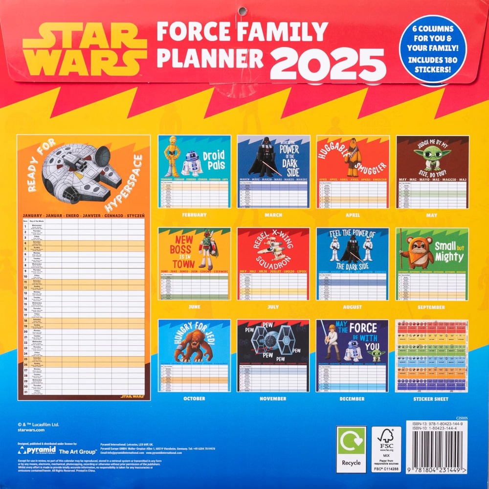 Disney Star Wars 2025 Family Planner Calendar - threelittlebears.co.uk
