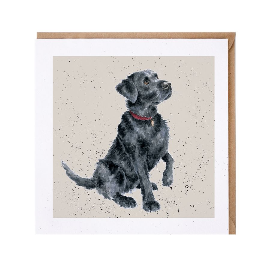 Wrendale Designs Jack Black Labrador Greeting Card - threelittlebears.co.uk