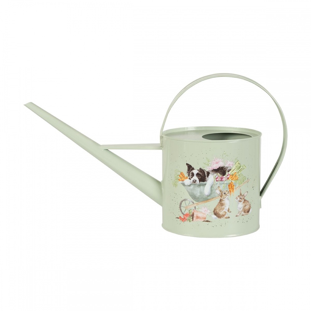 Wrendale Designs Indoor Watering Can Sleeping on the Job" Border Collie ...