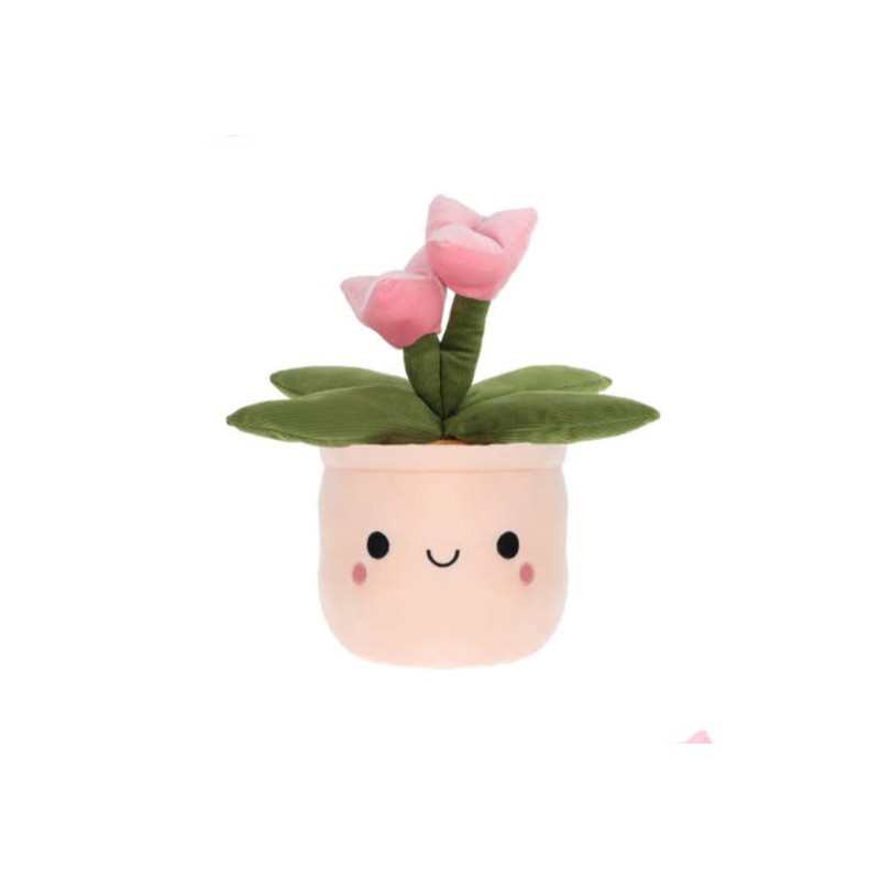 Keel Toys 30cm Succulent Plant Bobballs Beanie Plush Toy Random Design ...