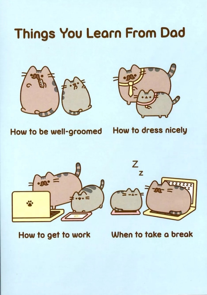 Pusheen Things you learn from Dad Greeting Card - threelittlebears.co.uk