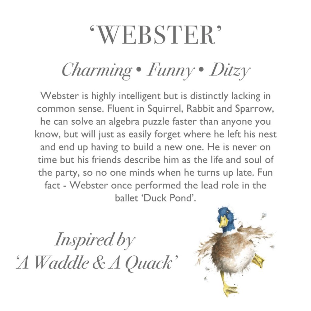 Wrendale Designs Webster Duck plush character Soft Toy ...